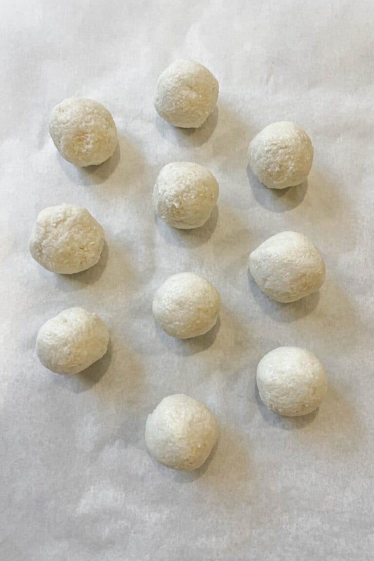 No-Bake Healthy Chocolate Coconut Balls (Dairy-free) • Bites In The Wild